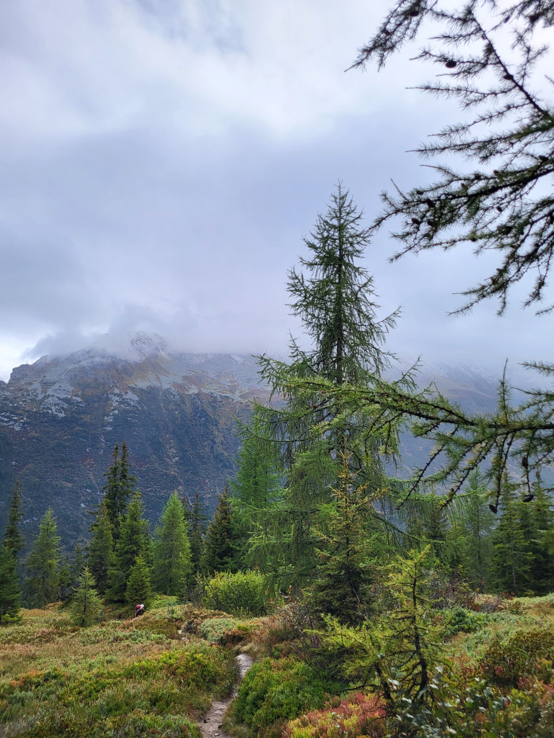 STV Auw 20230924_Turnerreise 03 | STV Auw