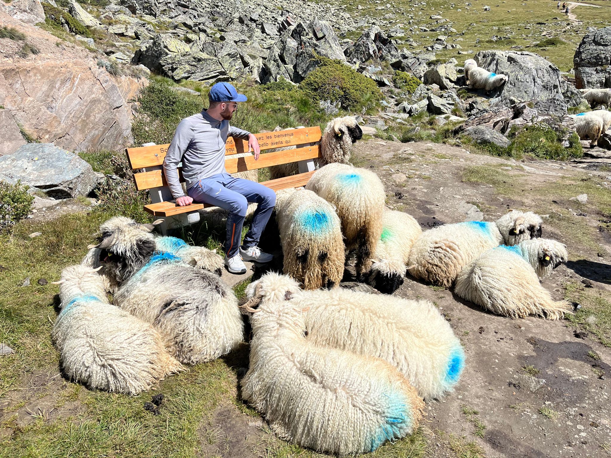 Vorstands- & Leiterausflug 2023 | STV Auw